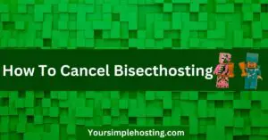 How To Cancel Bisecthosting - Your Simple Hosting